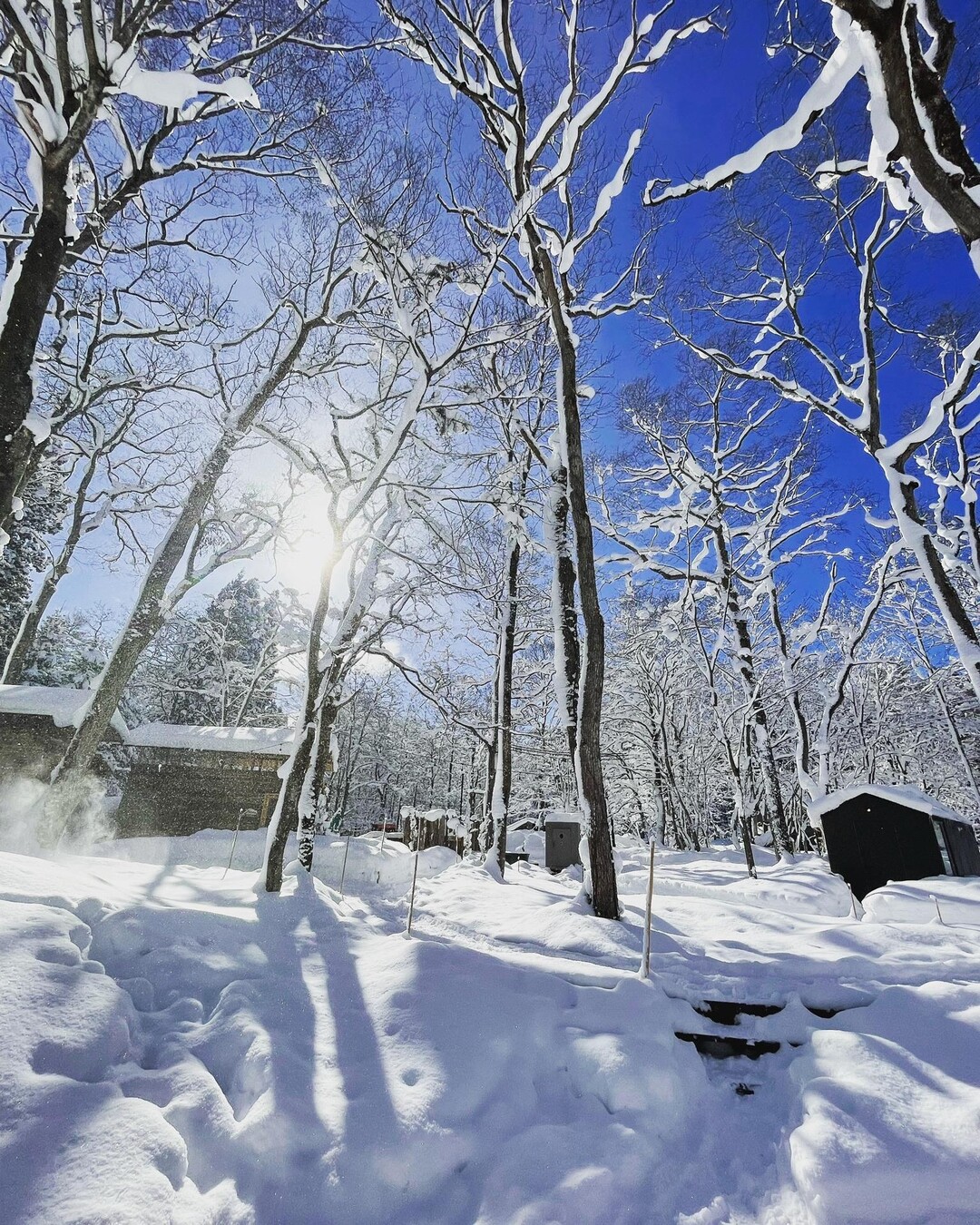 野尻湖近くで撮影した一枚 早朝7時 最高... / HIRO88さんのモーメント | YAMAP / ヤマップ
