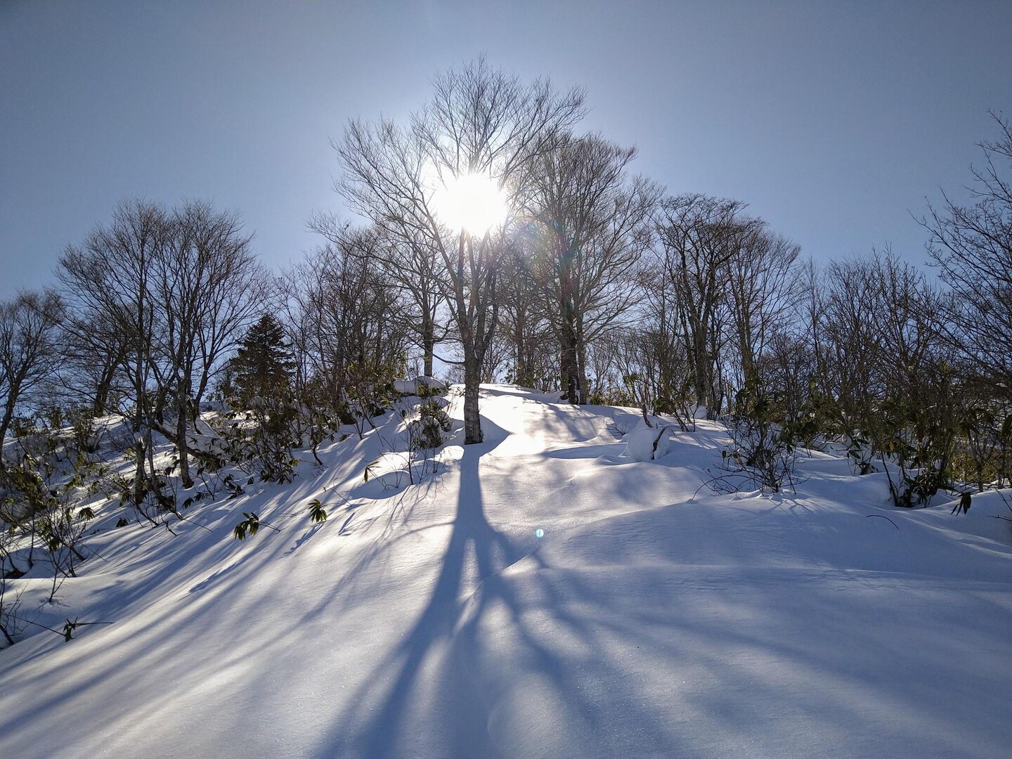 猪臥山-2024-01-14 / TMBさんの猪臥山の活動データ | YAMAP / ヤマップ