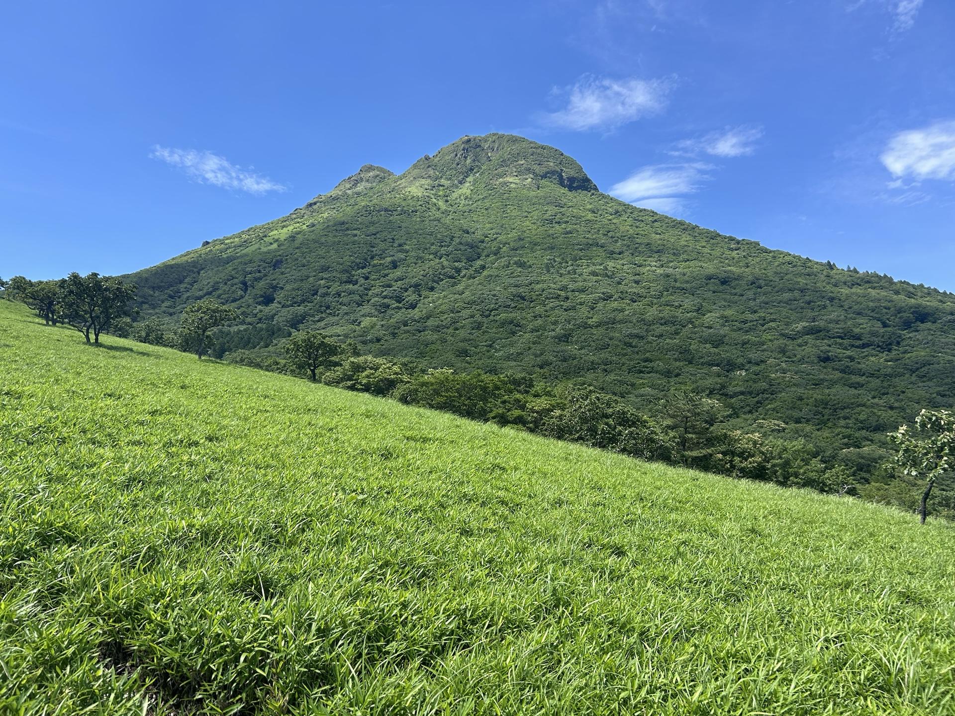 史上最速の梅雨明け((´∀`*)) 由布岳・飯盛ヶ城 / datinさんの由布岳・鶴見岳の活動データ | YAMAP / ヤマップ