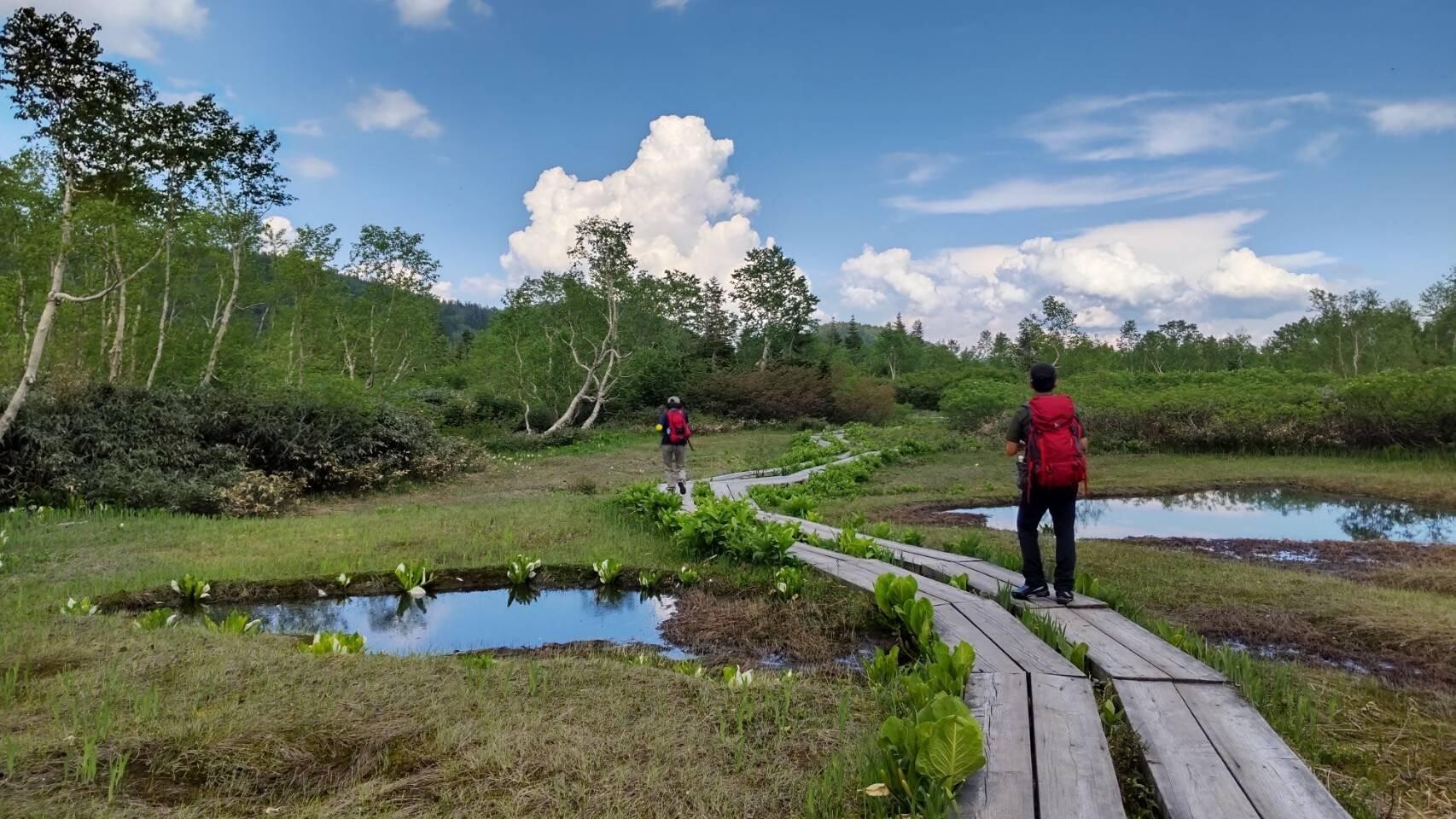 X808のページ | YAMAP / ヤマップ