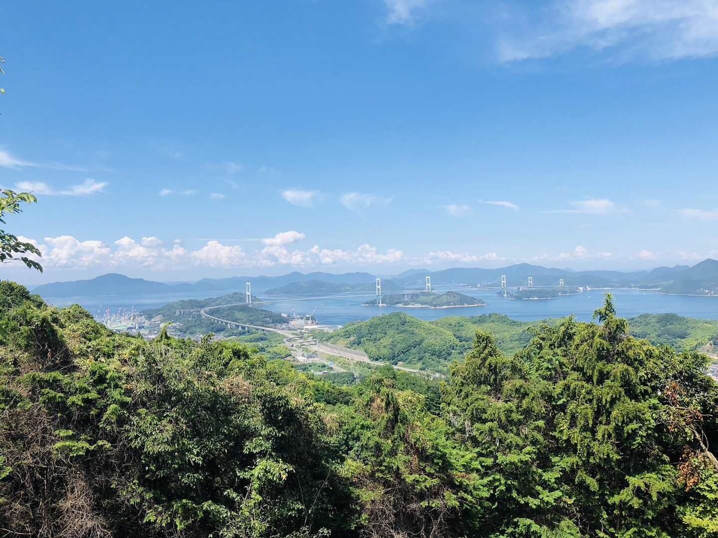 〇近見山 / Coo・kie（くぅ🗝️）さんの瀬戸内しまなみ海道（南エリア）の活動データ | YAMAP / ヤマップ