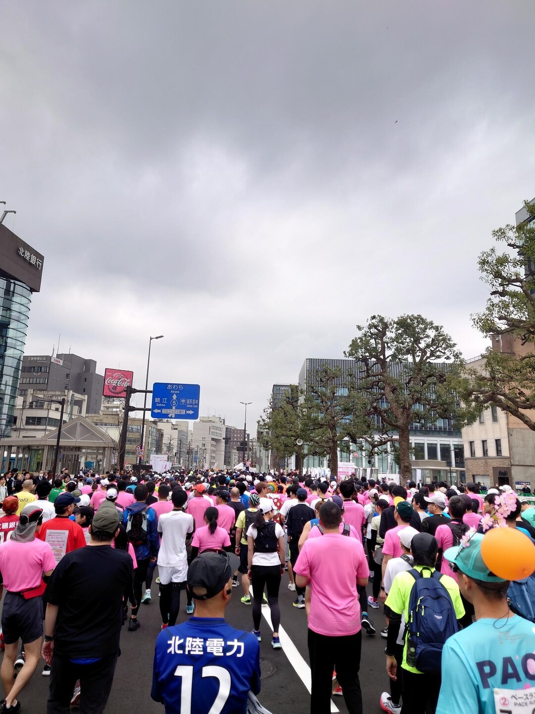 ふくい桜🌸マラソン2024 / RYOさんの福井市の活動データ | YAMAP / ヤマップ