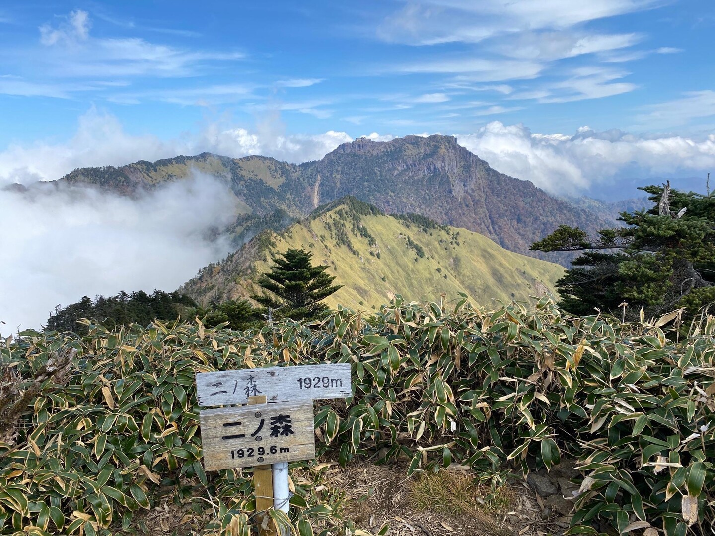 堂ヶ森・二ノ森・鞍瀬ノ頭 / アッコさんの石鎚山・堂ヶ森・二ノ森の活動日記 | YAMAP / ヤマップ