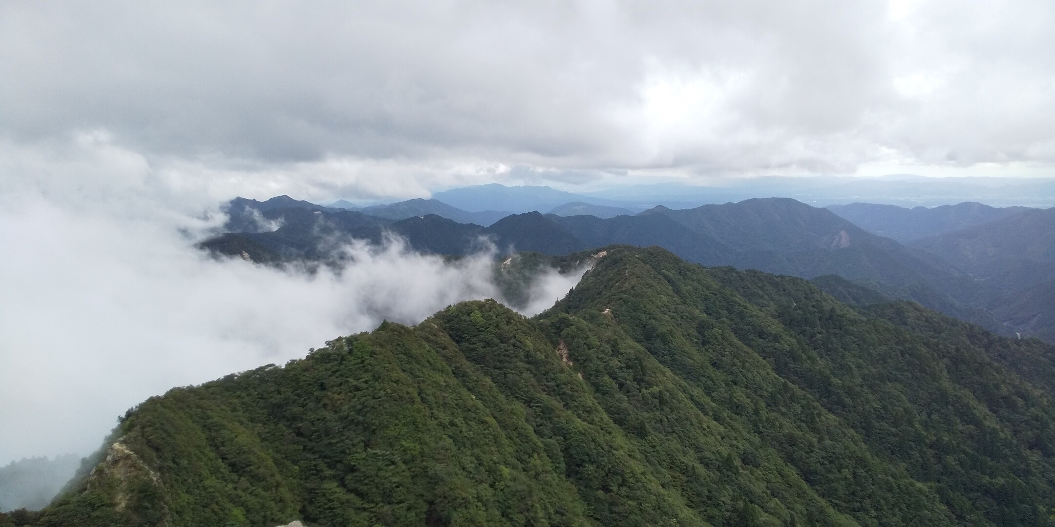 P791・鎌ヶ岳 / げんこ1919さんの入道ヶ岳・鎌ヶ岳・仙ヶ岳の活動データ | YAMAP / ヤマップ
