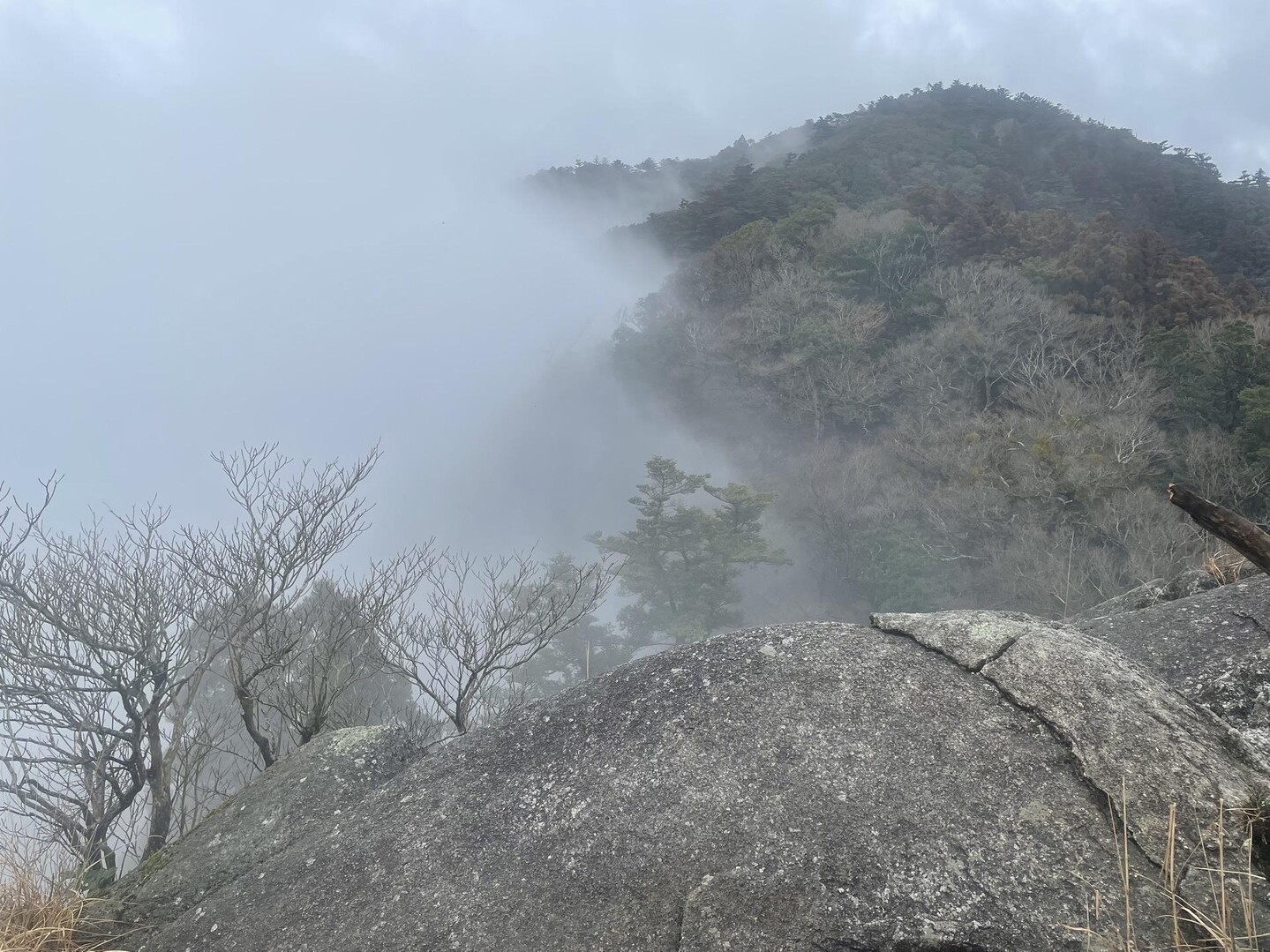 霧の宝満山 / daikiboさんの宝満山・三郡山・若杉山の活動データ | YAMAP / ヤマップ