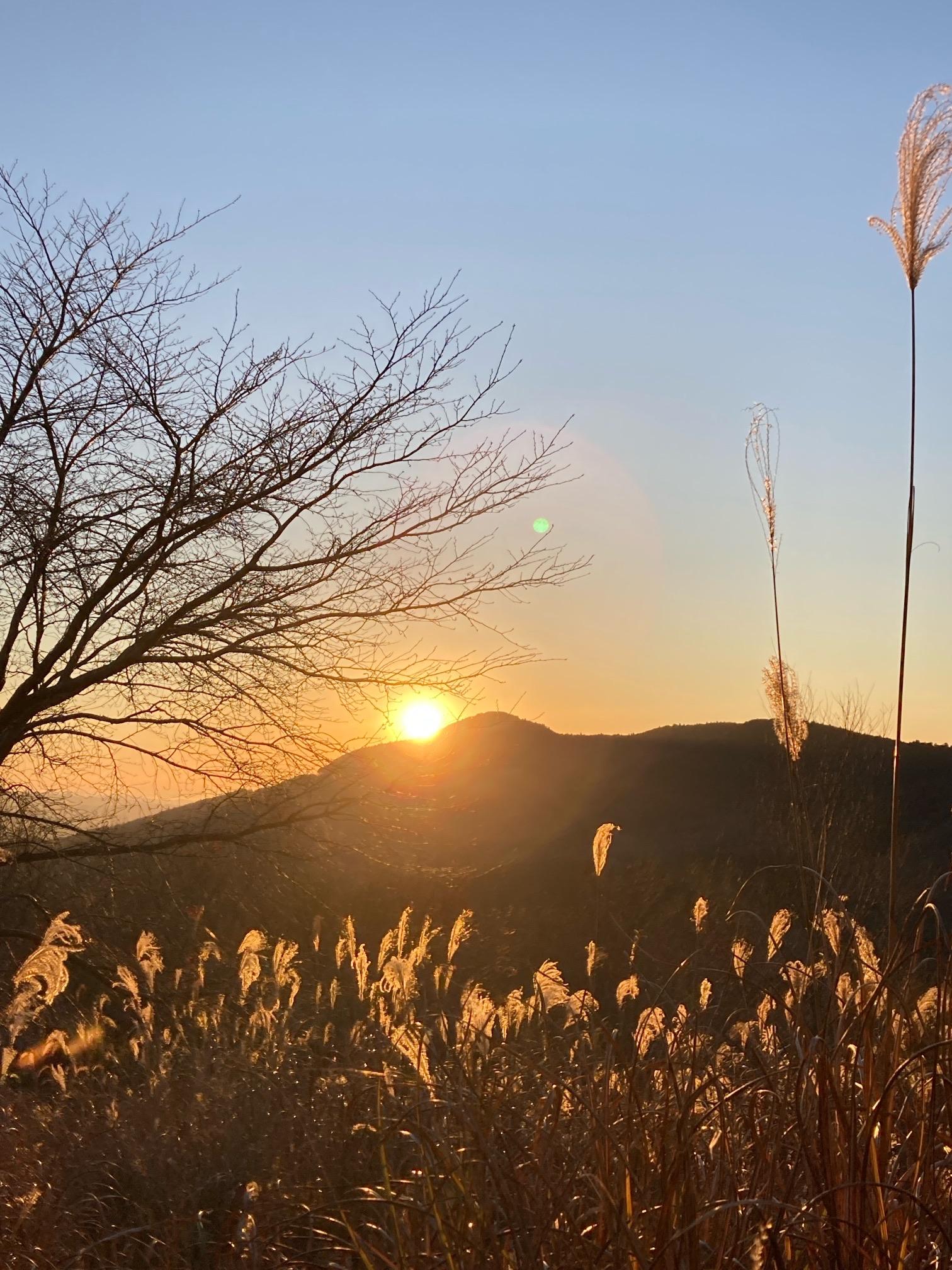 懐山・観音山・霧山・赤松山・立須 / gonさんの観音山の活動データ | YAMAP / ヤマップ