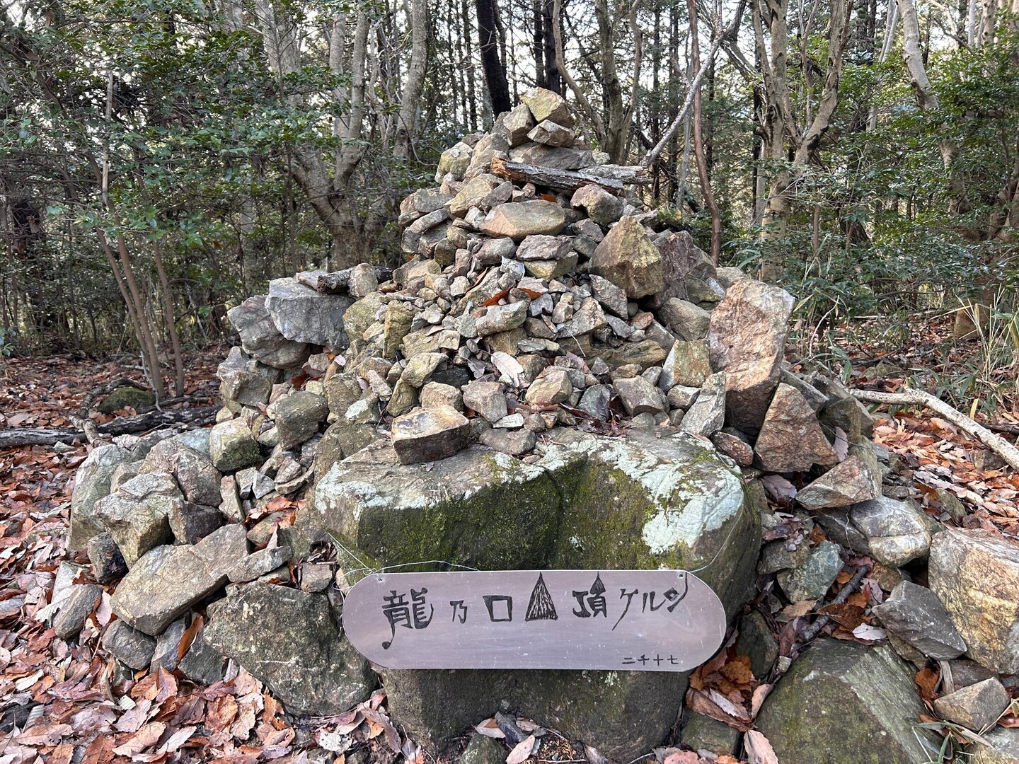 龍ノ口山 / sugarさんの龍ノ口山の活動データ | YAMAP / ヤマップ