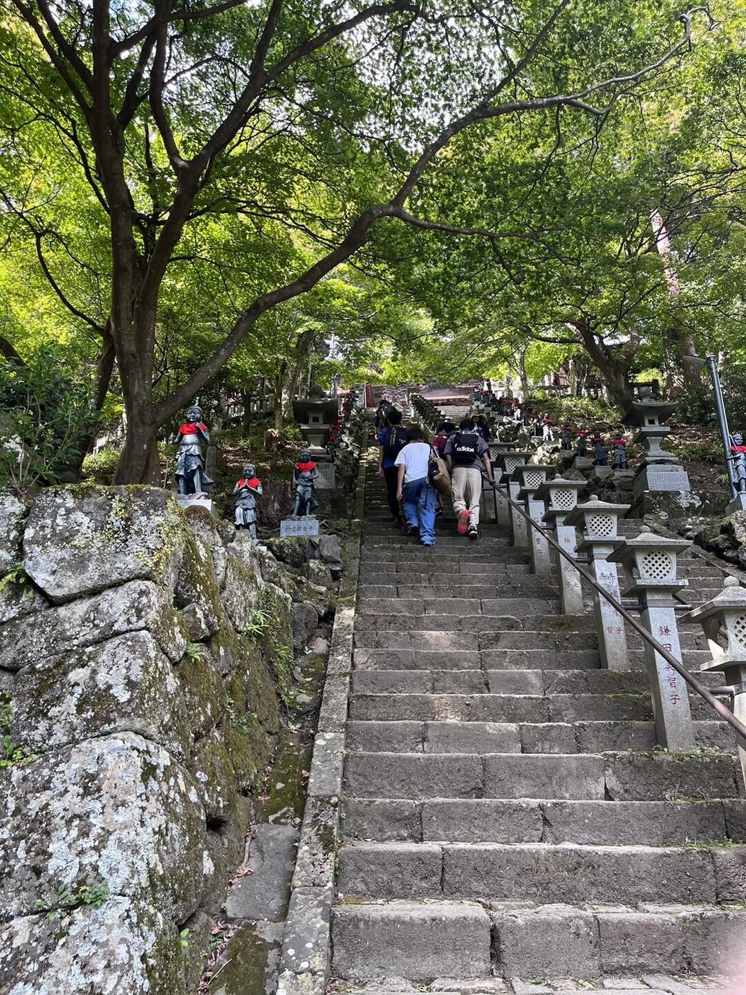 リハビリ登山② / maiさんの大山の活動データ | YAMAP / ヤマップ
