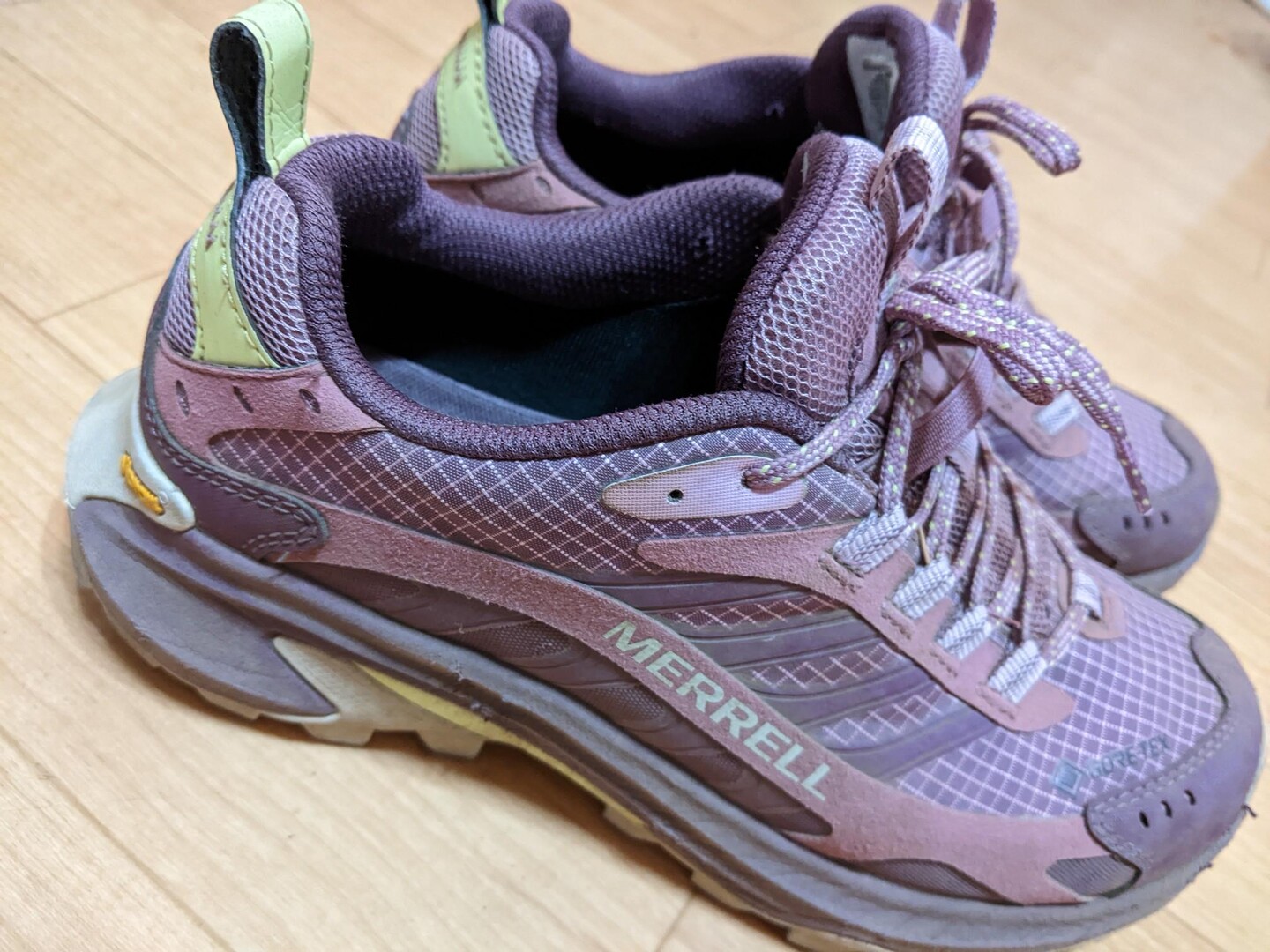 MOAB SPEED 2 GORE-TE... / YOLOさんのモーメント | YAMAP / ヤマップ