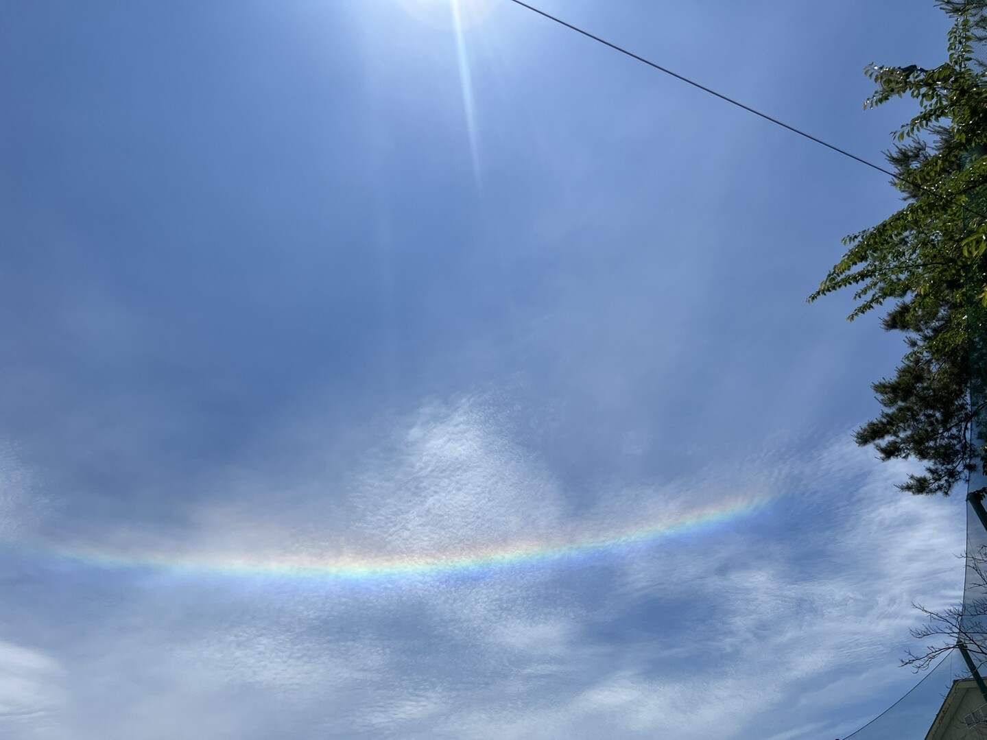 とある高校の練習試合の合間に出現した。 ... / naoさんのモーメント | YAMAP / ヤマップ