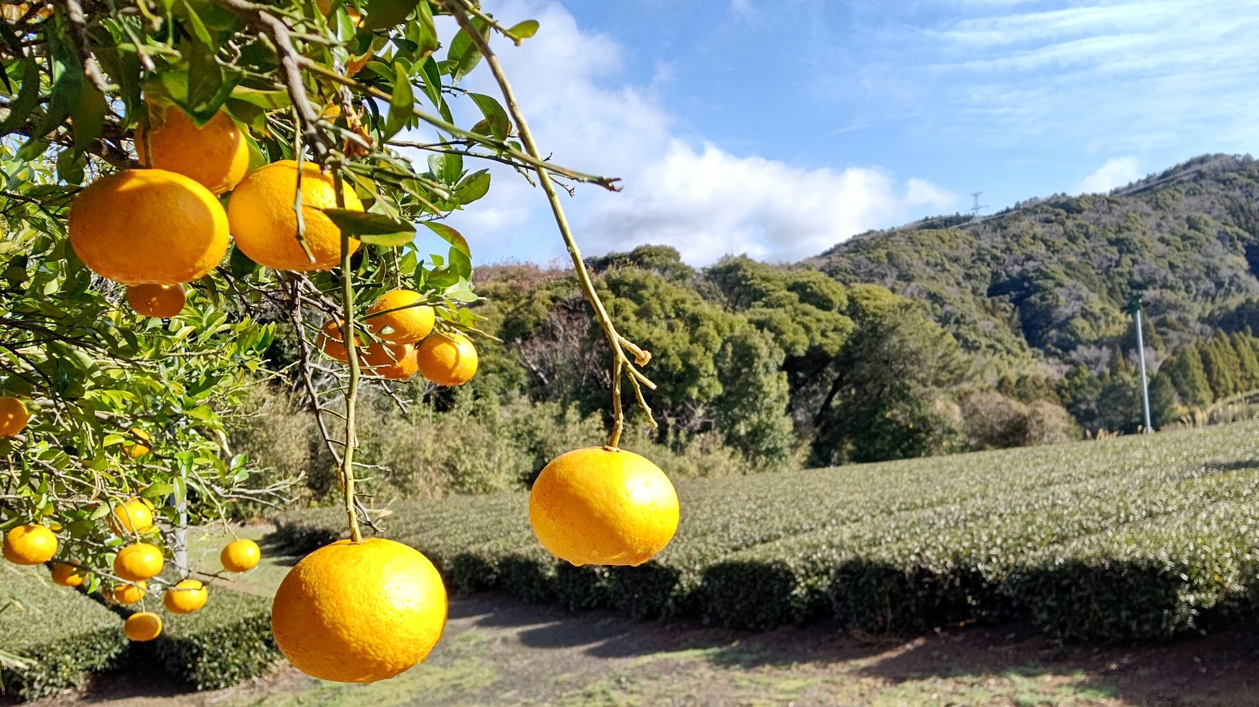 ごめんなさい😃 ぶっちゃけ、読まずに... / ぐり～4649さんのモーメント | YAMAP / ヤマップ
