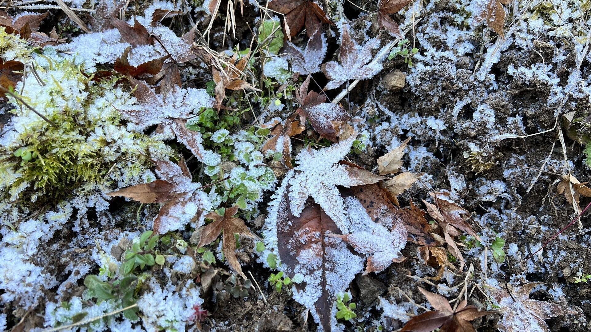 正丸駅→伊豆ヶ岳→吾野駅 / wak-kunさんの武甲山・伊豆ヶ岳・小持山の活動日記 | YAMAP / ヤマップ