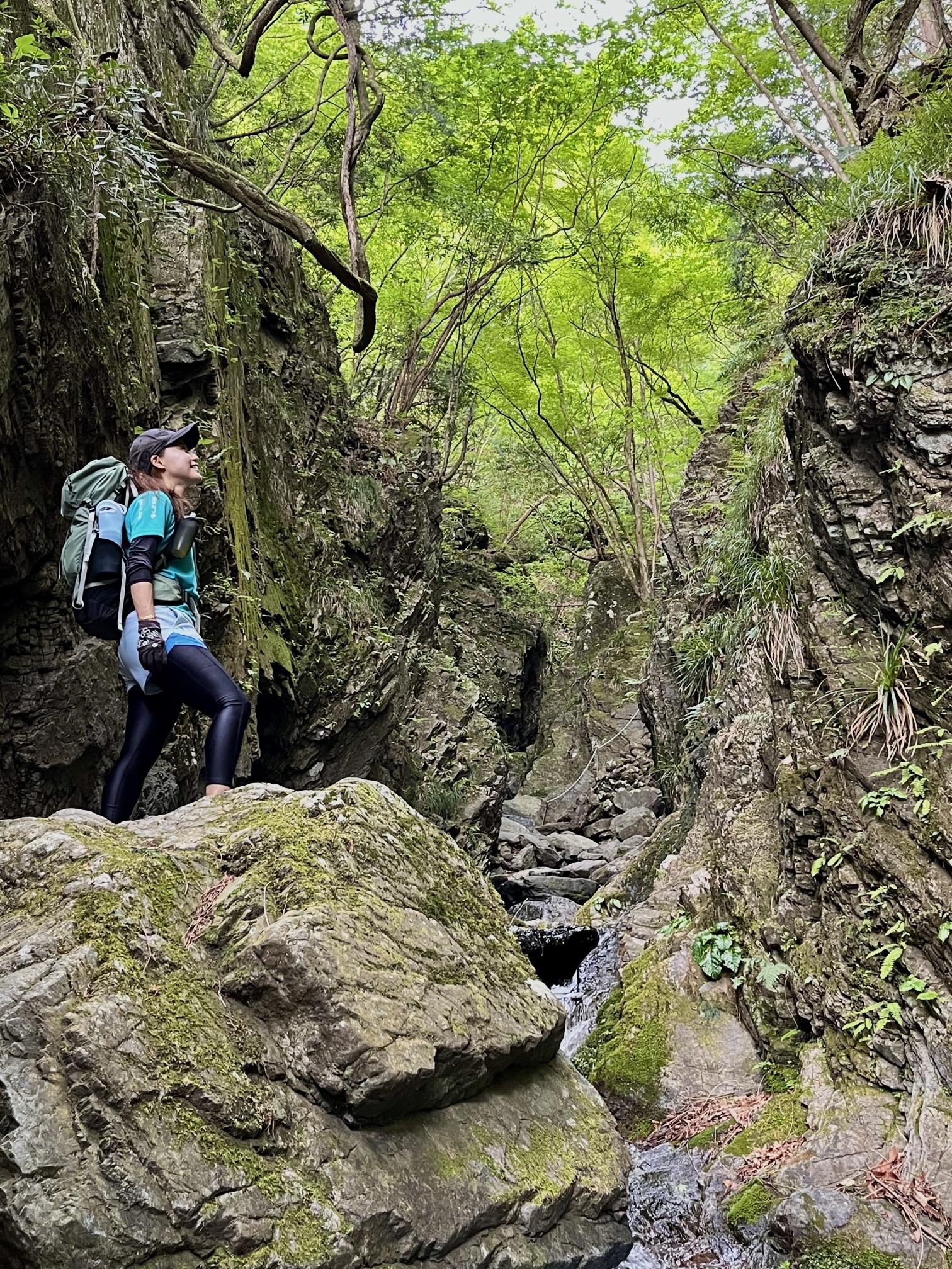 母の日登山🥰棒ノ嶺（棒ノ折山） / aayanさんの棒ノ折山（棒ノ嶺）の活動データ | YAMAP / ヤマップ
