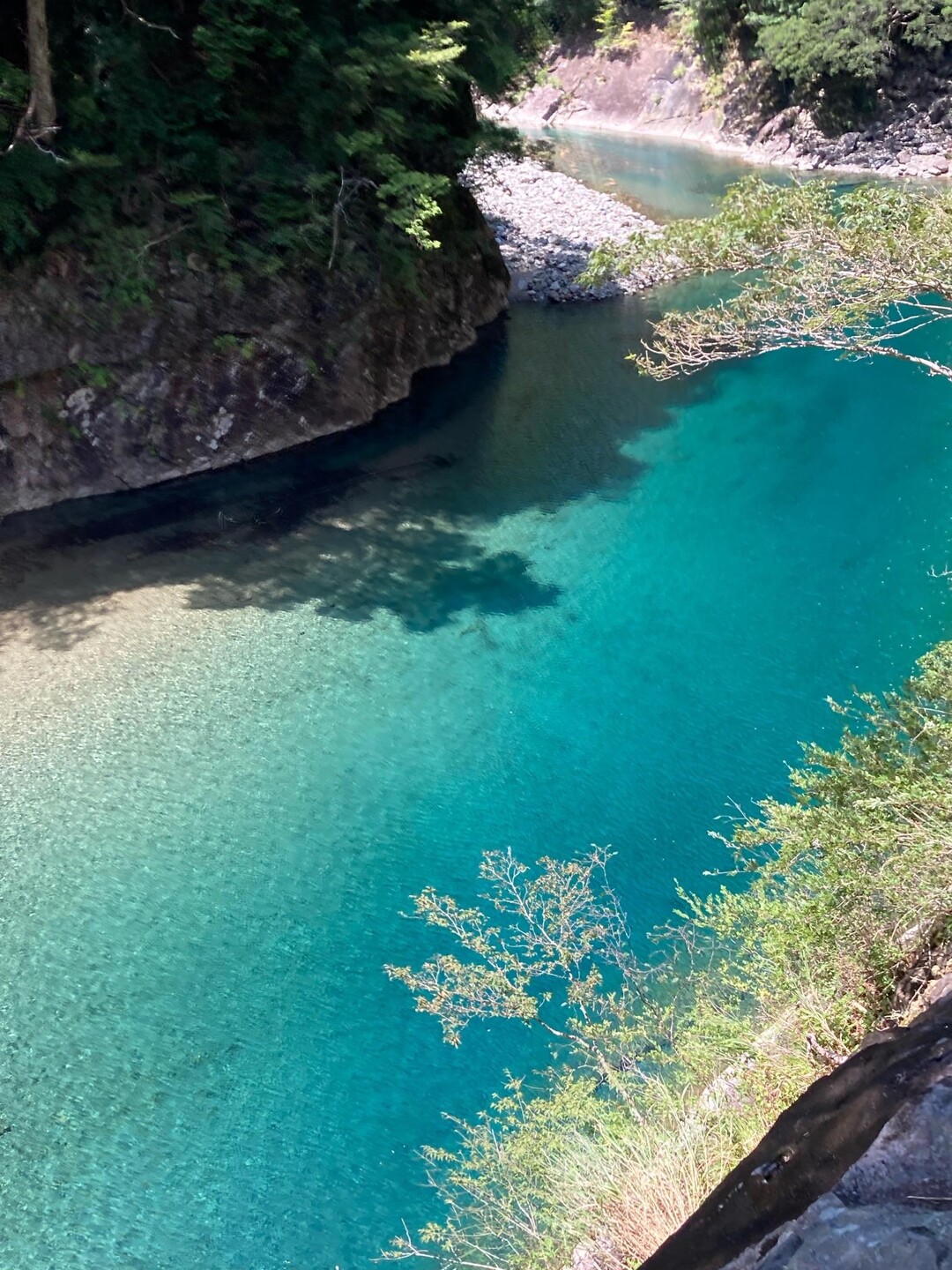 大杉谷〜シシ淵 往復 ドボン2回 / Sab Zeroさんの大台ヶ原山・日出ヶ岳・大杉谷の活動データ | YAMAP / ヤマップ