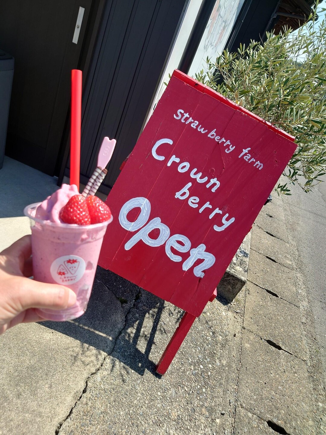 金華山GT(2回目) / としさんの金華山・洞山・舟伏山の活動データ | YAMAP / ヤマップ