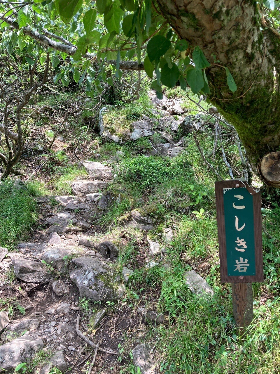 SEIJIさんの投稿したフィールドメモ | YAMAP / ヤマップ