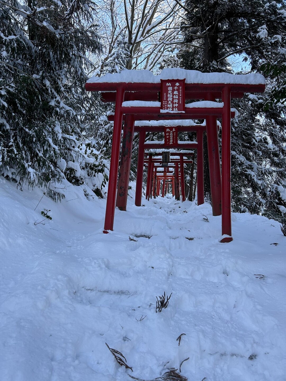 千歳山 / yumiさんの千歳山・猿岡山・戸神山の活動データ | YAMAP / ヤマップ