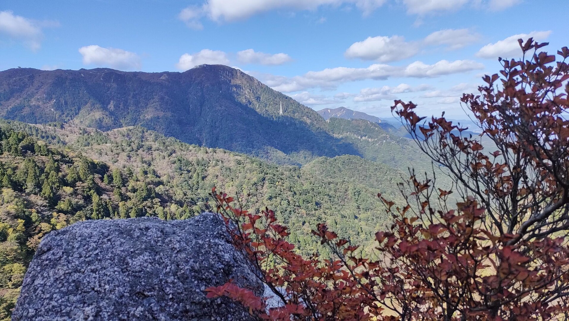 水沢岳(宮越山)・P791 / dai-chanさんの霊仙山の活動データ | YAMAP / ヤマップ