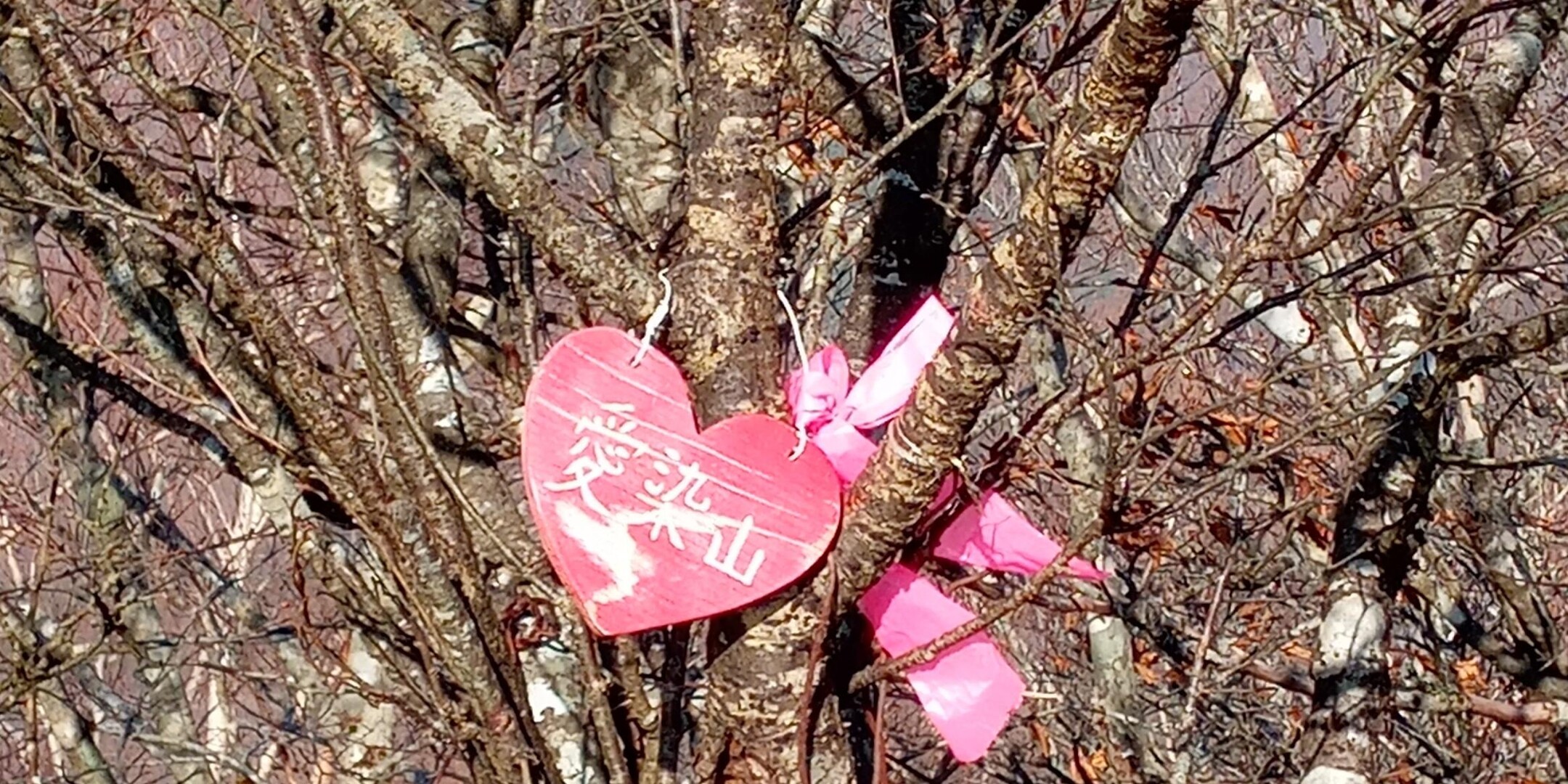 2023-11-02_愛染山 / bakkyさんの五葉山・愛染山の活動データ | YAMAP / ヤマップ