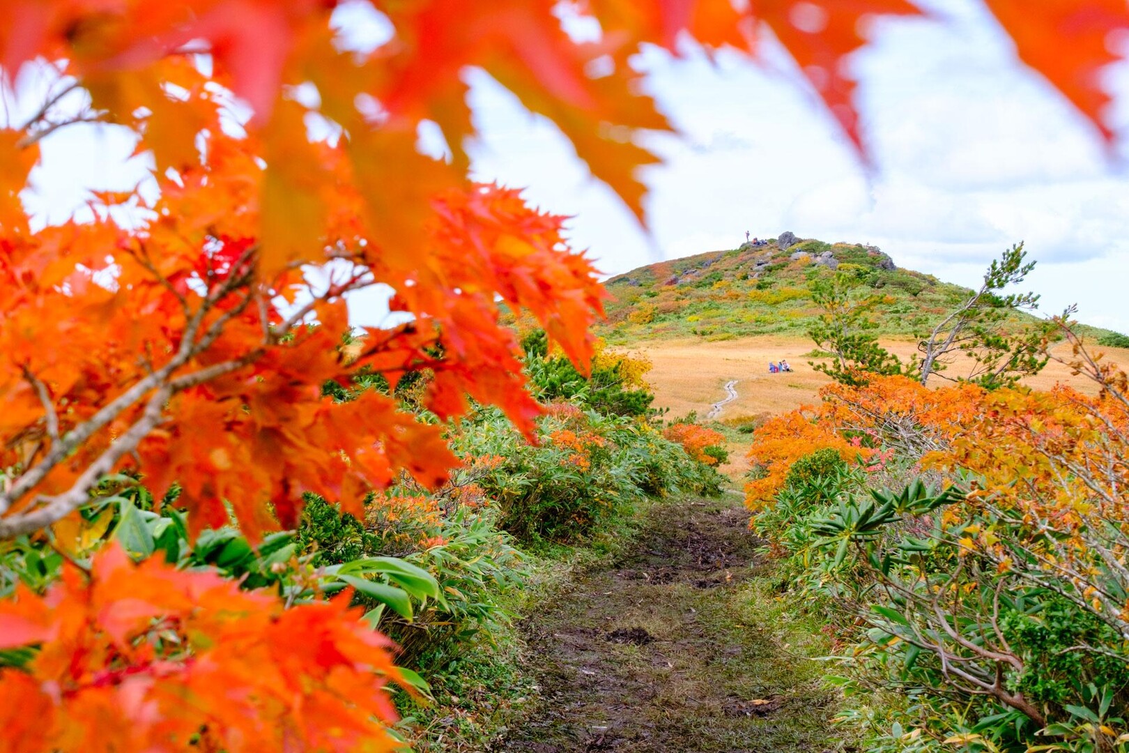 娘と涙の栗駒山周遊 / Foresterさんの栗駒山（須川岳）・秣岳・虚空蔵山の活動データ | YAMAP / ヤマップ
