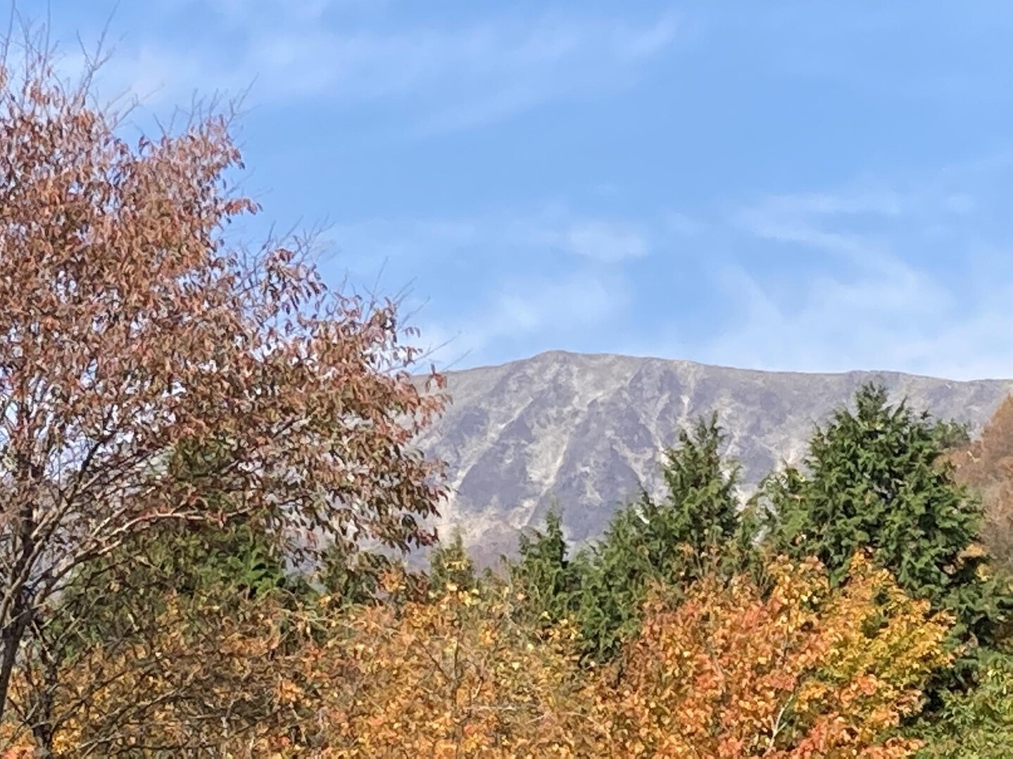 伊吹山 / こまっちさんの伊吹山・伊吹高原・御座峰の活動データ | YAMAP / ヤマップ