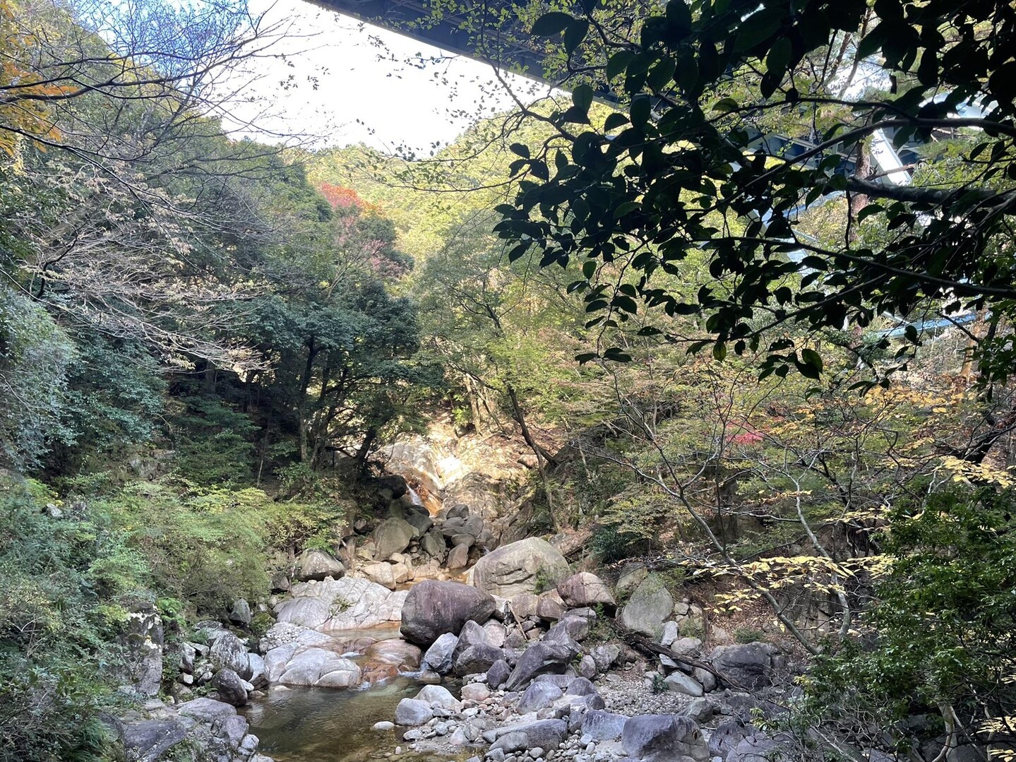 御在所岳 / まえださんの御在所岳（御在所山）・雨乞岳の活動データ | YAMAP / ヤマップ