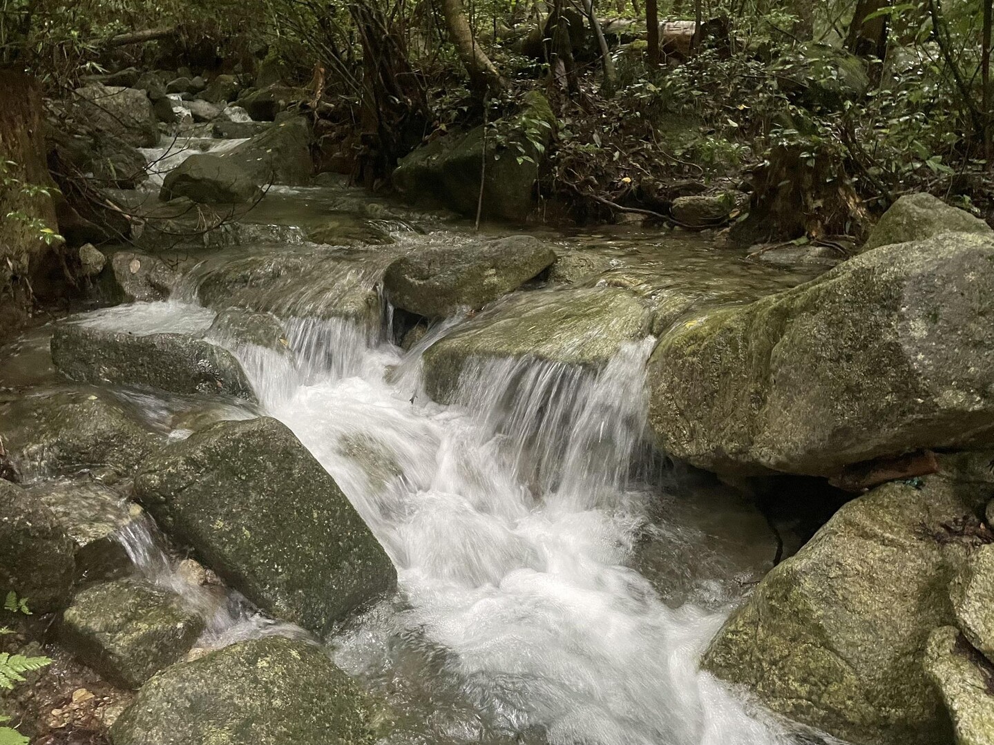 二日酔いでも宝満山🍺 / daikiboさんの宝満山・三郡山・若杉山の活動データ | YAMAP / ヤマップ