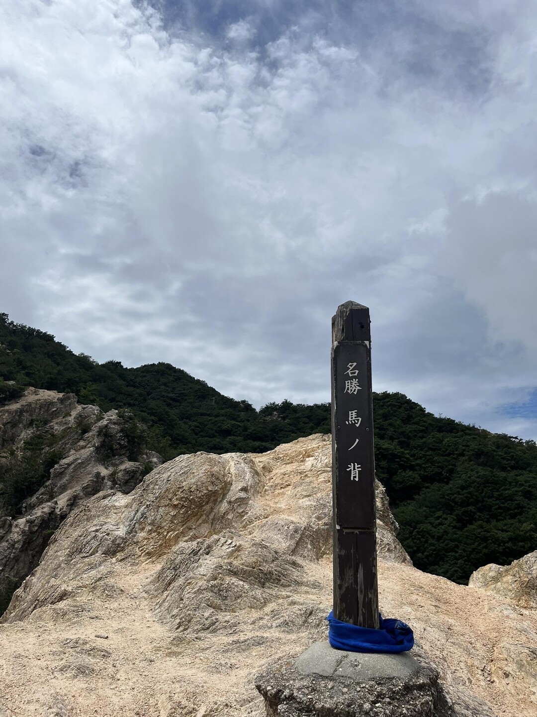 馬の背-2023-07-19 / ikkoさんのウォーキングの活動データ | YAMAP / ヤマップ