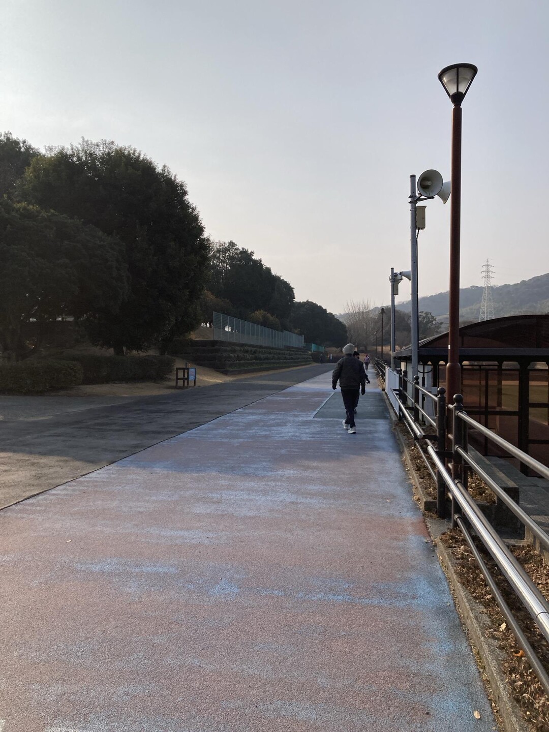 小山山・神園山(旧道整備活動) / SHINYAさんの合志市の活動データ | YAMAP / ヤマップ