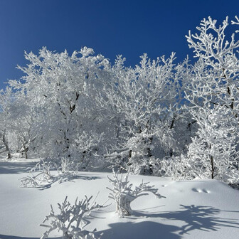 祖母山 / ユーザーNORI🌱さんの祖母山の活動データ | YAMAP / ヤマップ