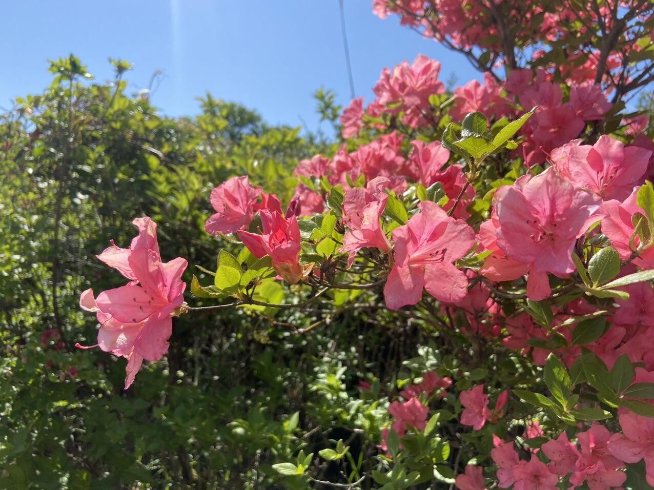 mtnkのページ | YAMAP / ヤマップ