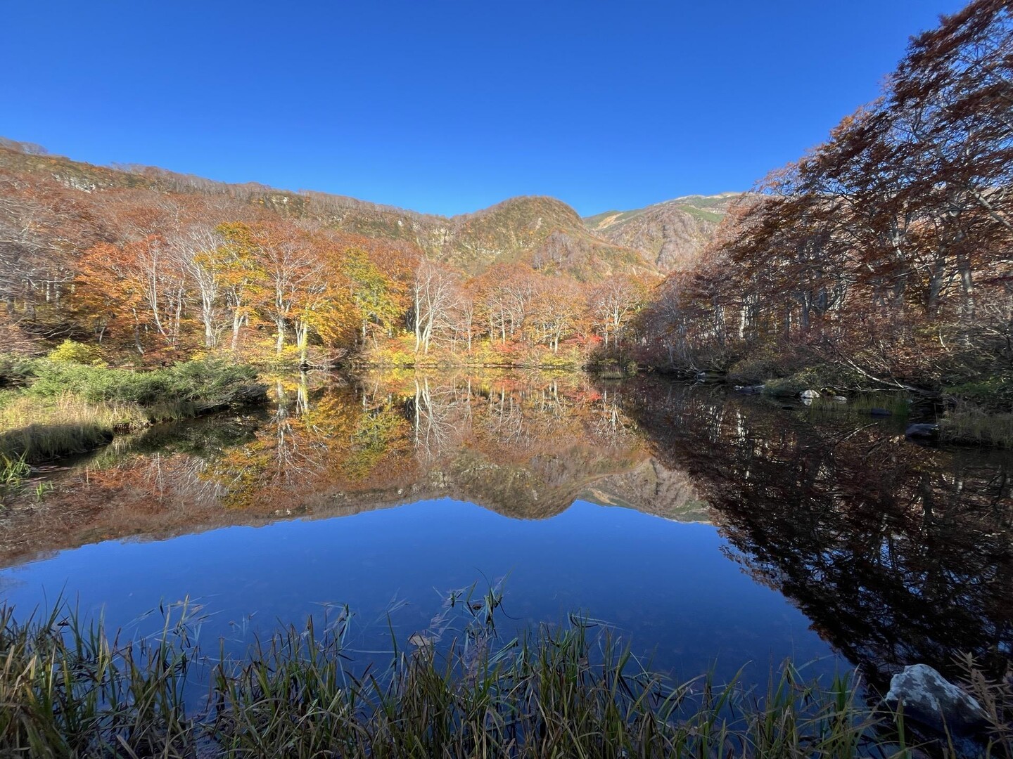 絶景の鶴間池 / suzurecoさんの鳥海山・七高山・笙ヶ岳の活動データ | YAMAP / ヤマップ