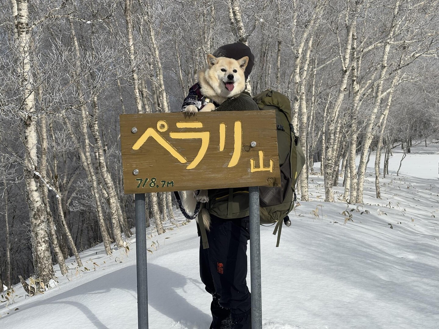 前ペラリ山・ペラリ山 / midoriさんのペラリ山の活動データ | YAMAP / ヤマップ
