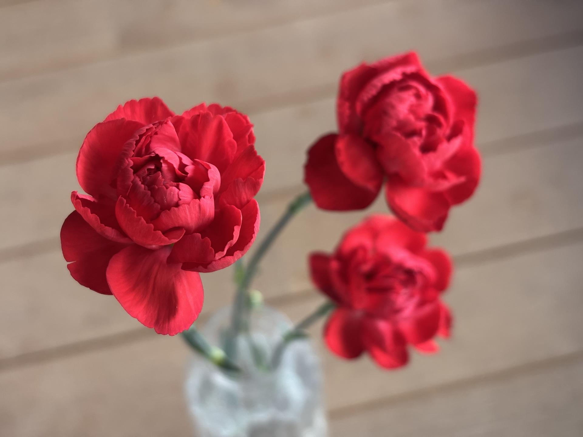 Happy Mother’s Day😊... / mieさんのモーメント | YAMAP / ヤマップ