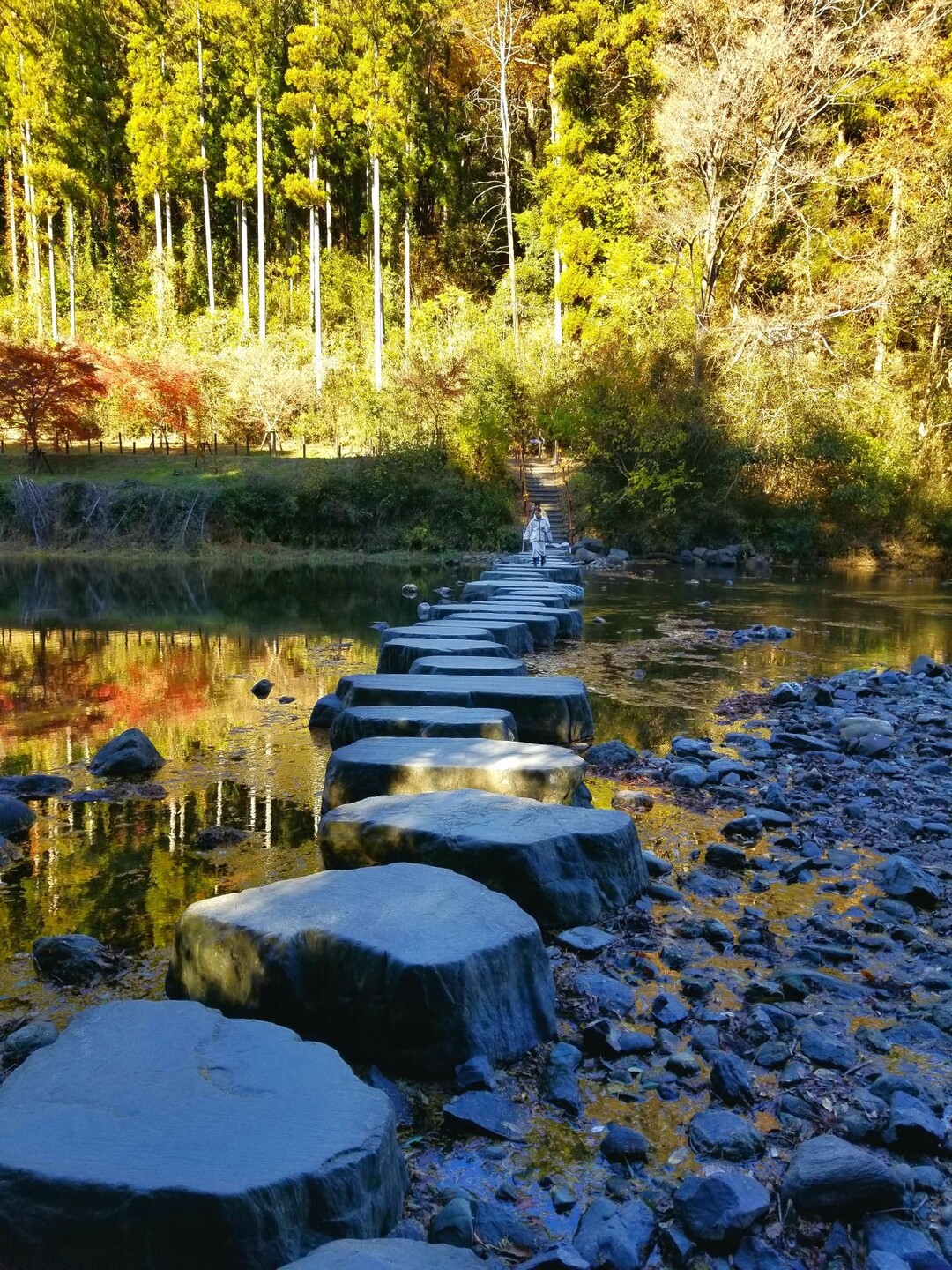 晩秋の嵐山渓谷 / TAEさんの武蔵嵐山・大平山・仙元山の活動データ | YAMAP / ヤマップ