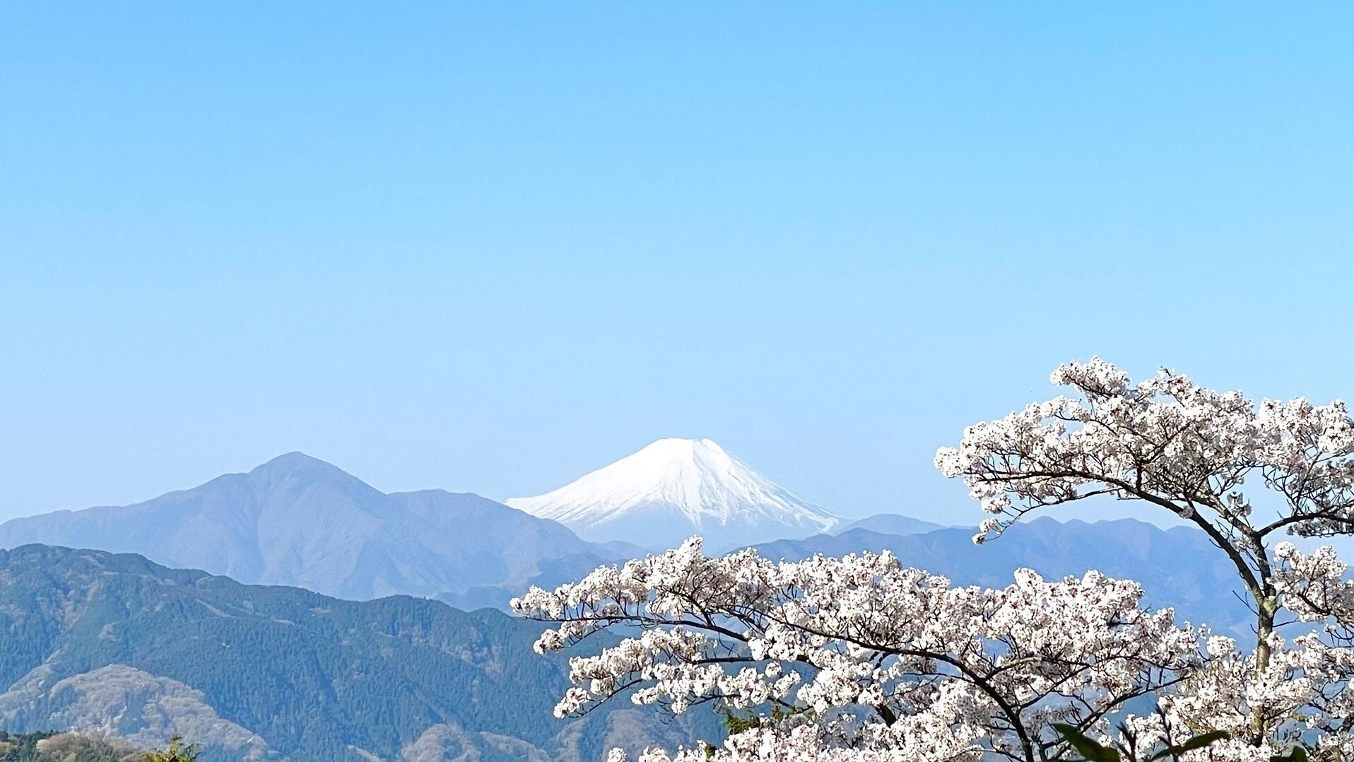 高尾山〜一丁平〜小仏城山 / tora_leoさんの高尾山・陣馬山・景信山の活動データ | YAMAP / ヤマップ