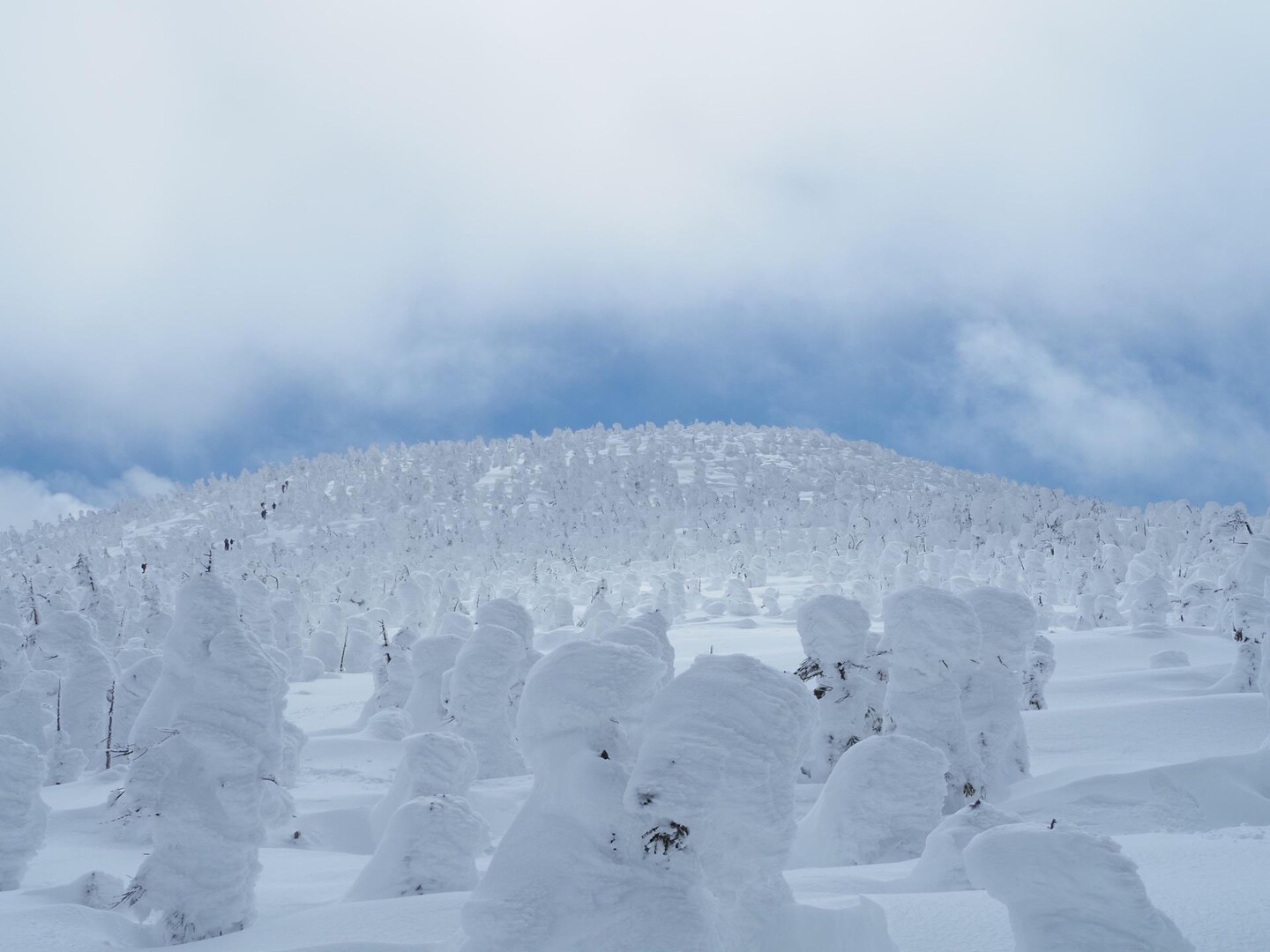 雪山ハイク西吾妻山 おまけ中央分水嶺を歩く（その15） / S.Kitaさんの吾妻山・一切経山の活動データ | YAMAP / ヤマップ