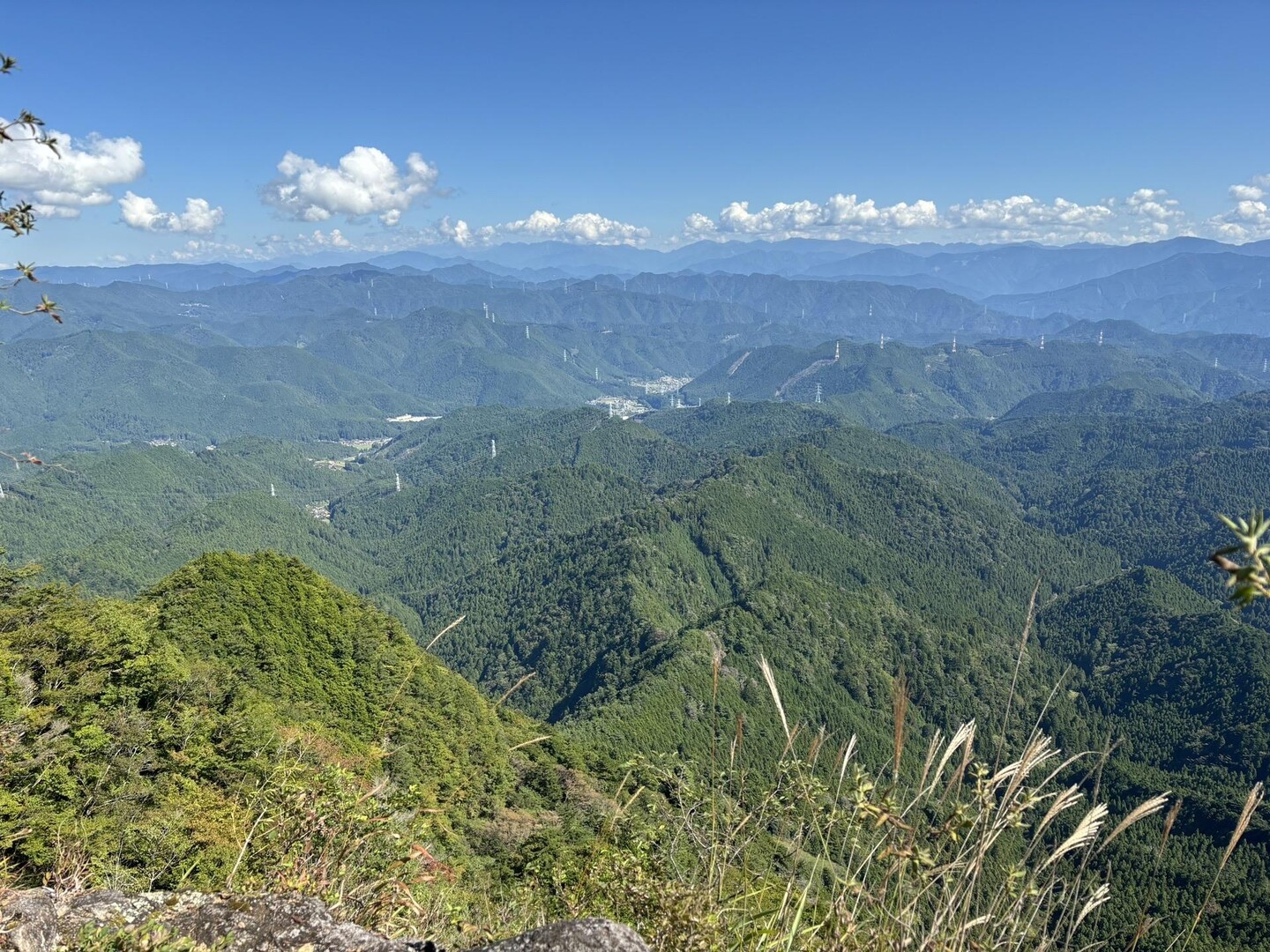 久しぶりに明神山やっぱり楽しい！！ / yuziさんの明神山（三ツ瀬明神山）の活動データ | YAMAP / ヤマップ