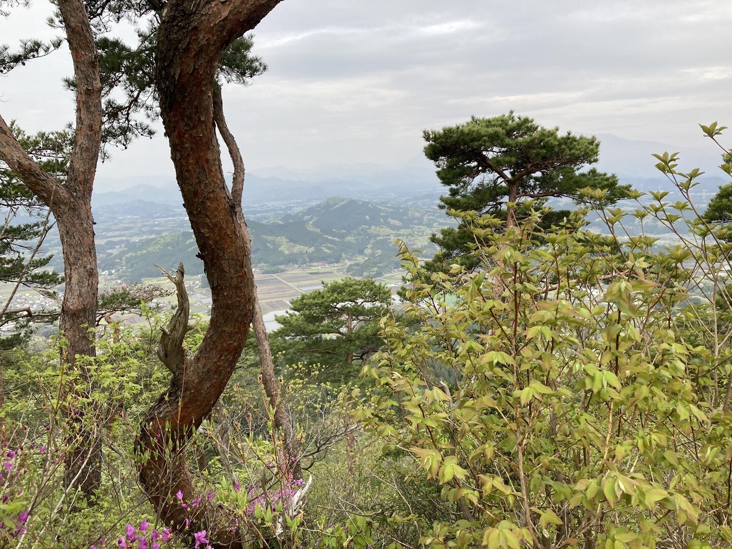 宇都宮アルプス10座 / samさんの篠井富屋連峰（宇都宮アルプス）の活動データ | YAMAP / ヤマップ