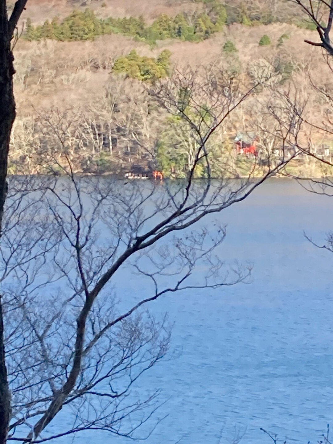 箱根山・神山-2023-12-24 / ryuさんの箱根山・神山の活動データ | YAMAP / ヤマップ