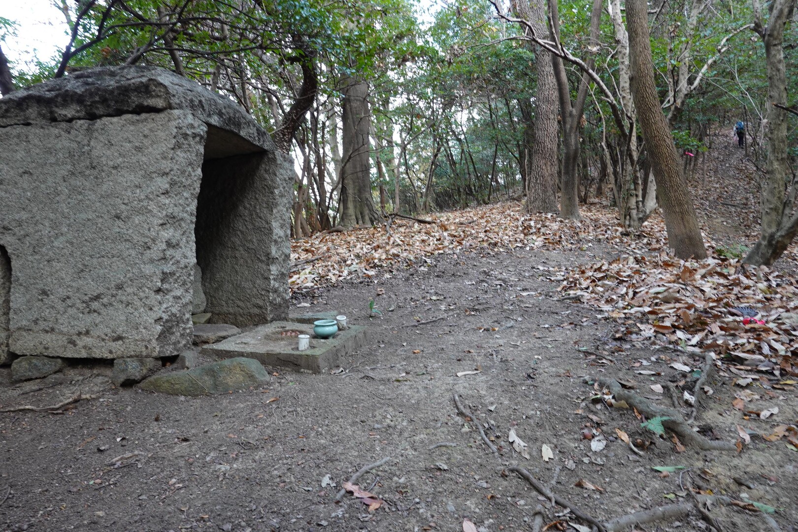 天神山整備🍂🧹思いがけない出逢いに感激！ / machiさんの天神山・鍛冶山・上土居山の活動日記 | YAMAP / ヤマップ