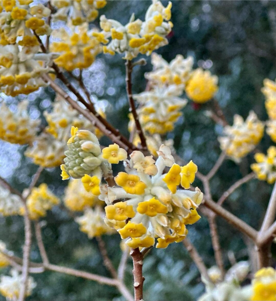 cocoのページ | YAMAP / ヤマップ