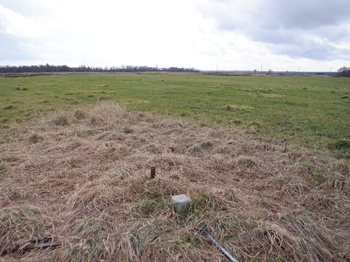 円山（豊富町） 北海道で一番標高の低い山 / sapさんの豊富町の活動データ | YAMAP / ヤマップ