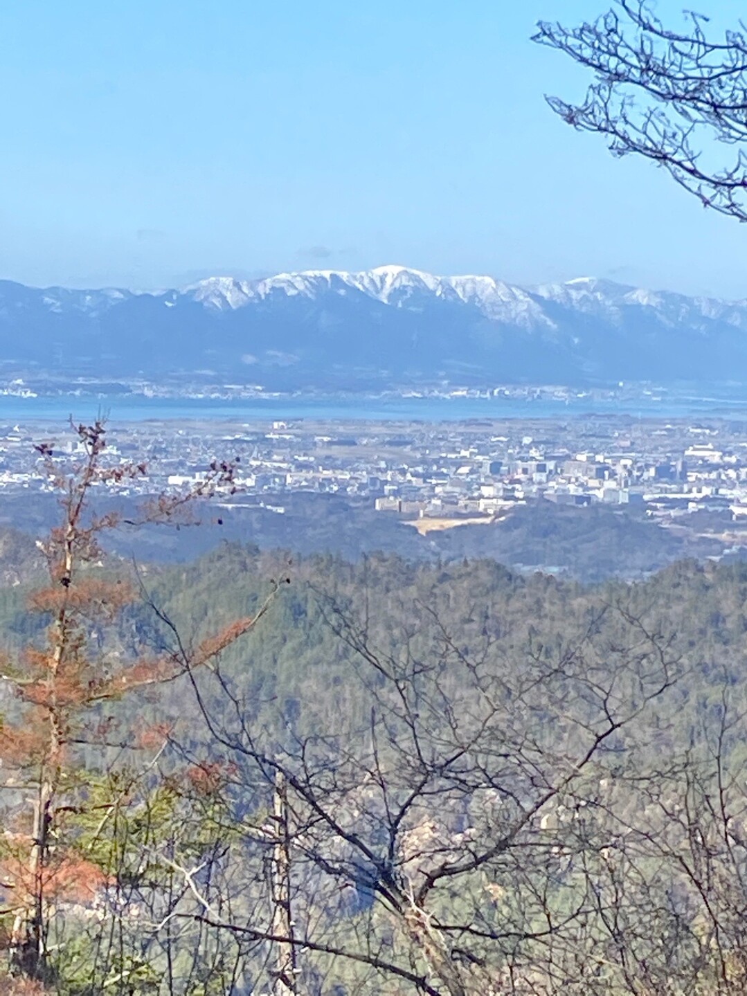 湖南アルプス(太神山・堂山)-2020-02-11 / 遼7kgさんの湖南アルプス（太神山・堂山）の活動データ | YAMAP / ヤマップ