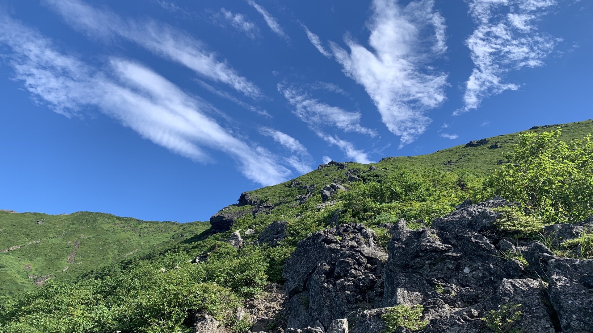 2週連続岩手山〜御神坂〜 / neeleさんの岩手山・黒倉山・鞍掛山の活動データ | YAMAP / ヤマップ