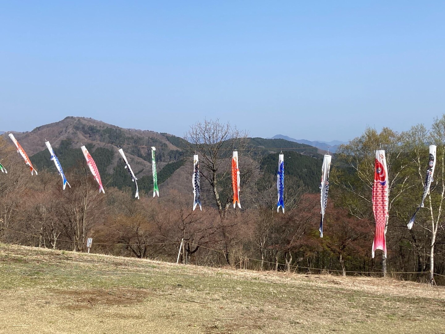 水なし陣馬山 / BAYSさんの高尾山・陣馬山・景信山の活動データ | YAMAP / ヤマップ
