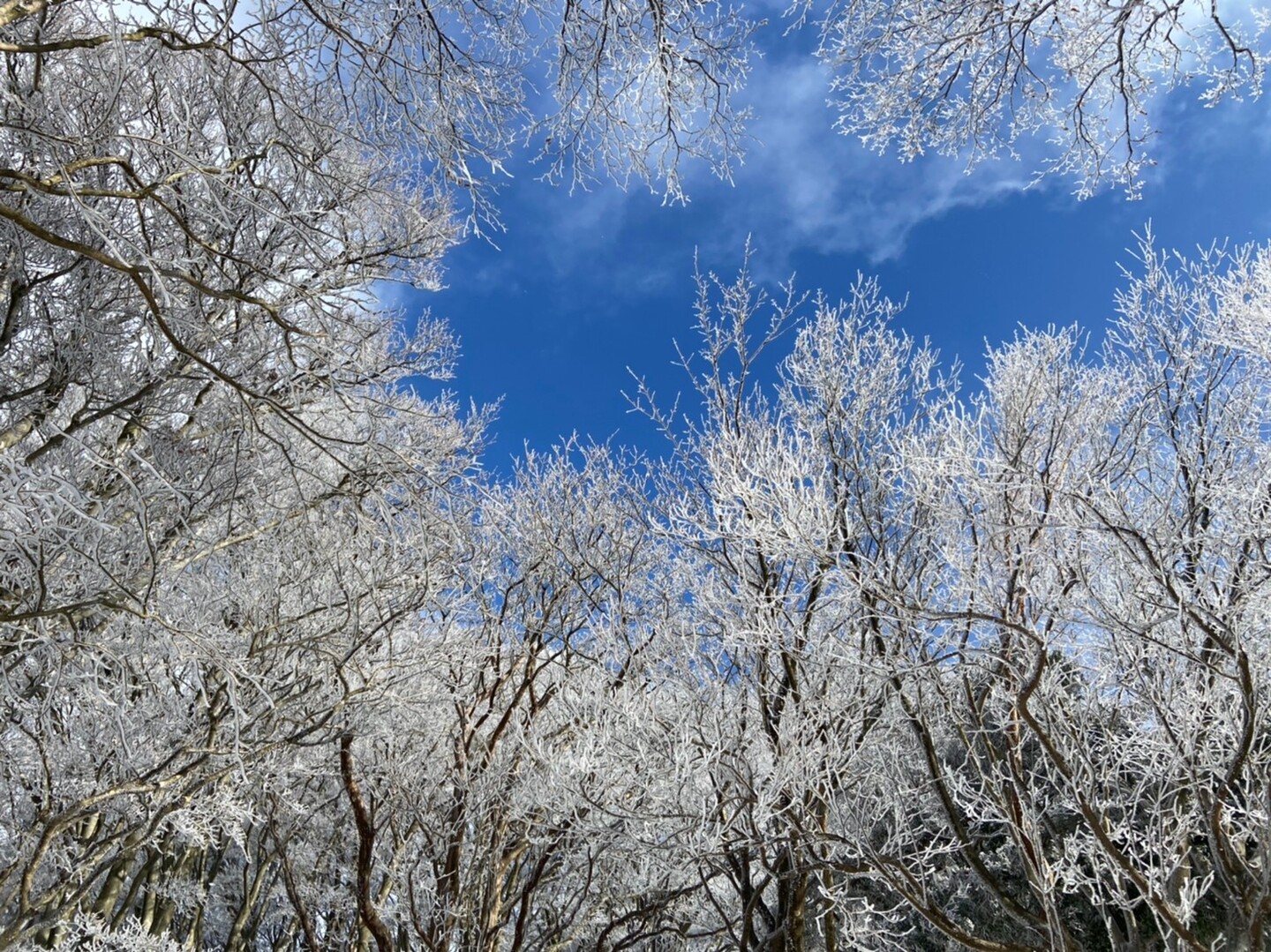 🈠アイゼンは高見山 / micoさんの高見山・黒石山・天狗山の活動データ | YAMAP / ヤマップ