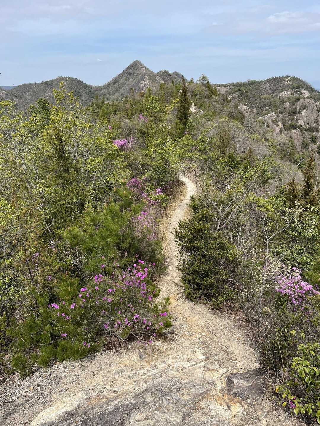 善防山・笠松山 / taeさんの加西アルプス・笠松山・善防山の活動データ | YAMAP / ヤマップ