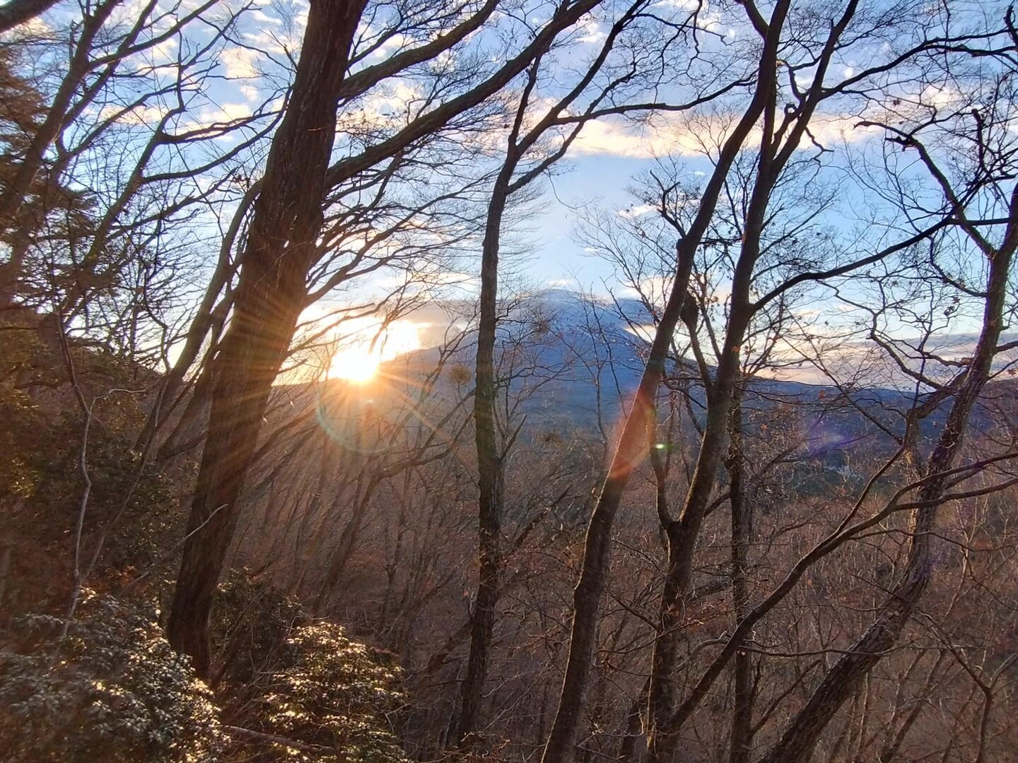 12月とは思えない暖かさ。 メンタル身体... / Kmk-Nさんのモーメント | YAMAP / ヤマップ