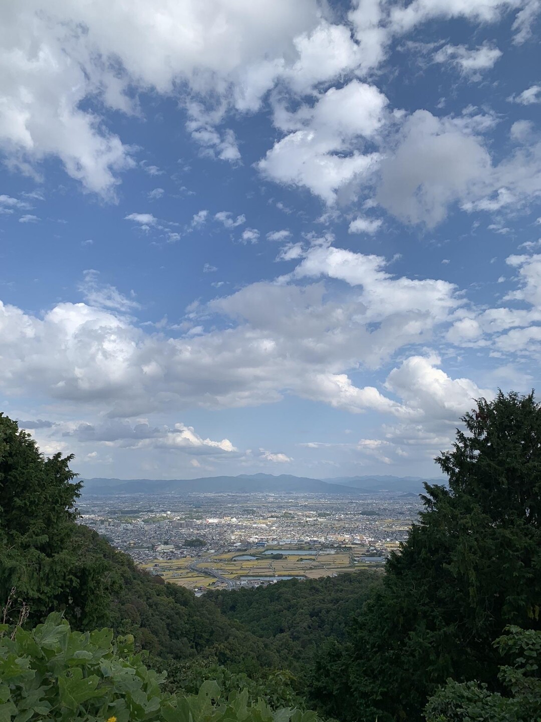 STM（柏原駅〜当麻寺駅） / クラスペディアさんの葛城修験エリアマップ（二上山周辺）の活動データ | YAMAP / ヤマップ